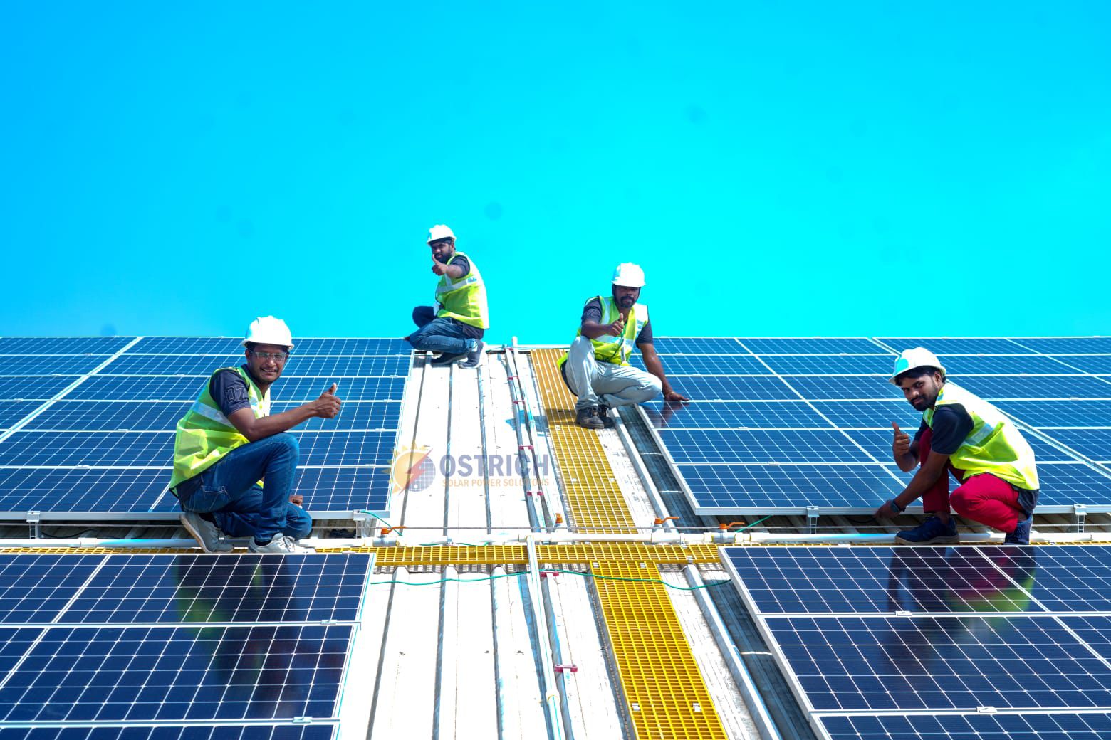 Ostrich Solar Power Solutions - Solar Energy | Projects